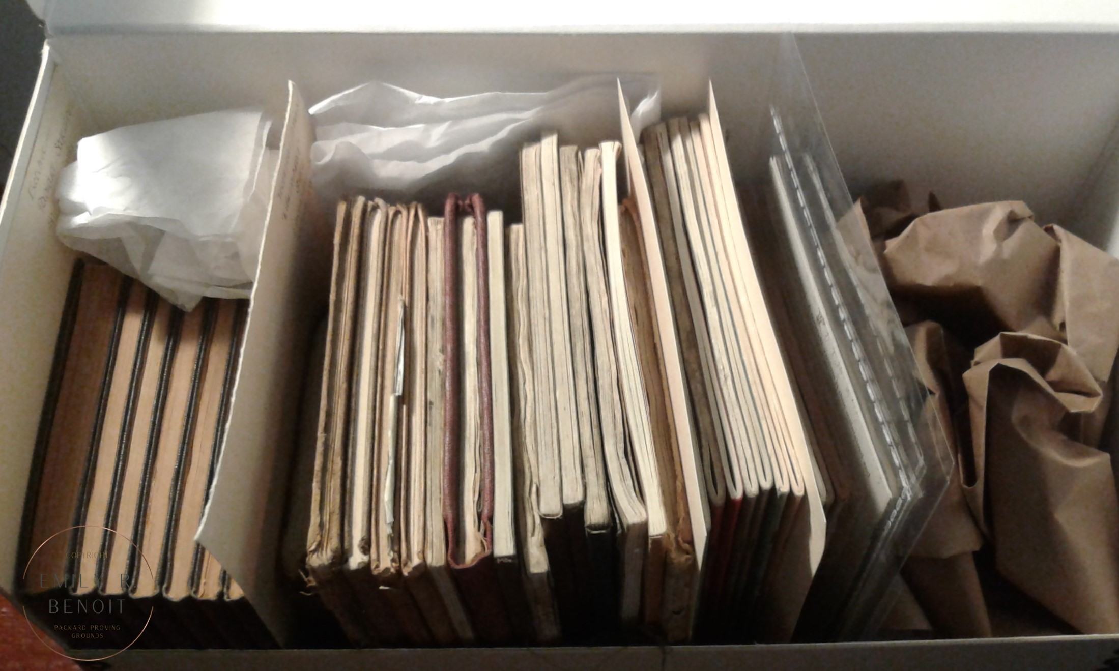 Collection Processing: The Moment You’ve Been Waiting For (Rehousing ...