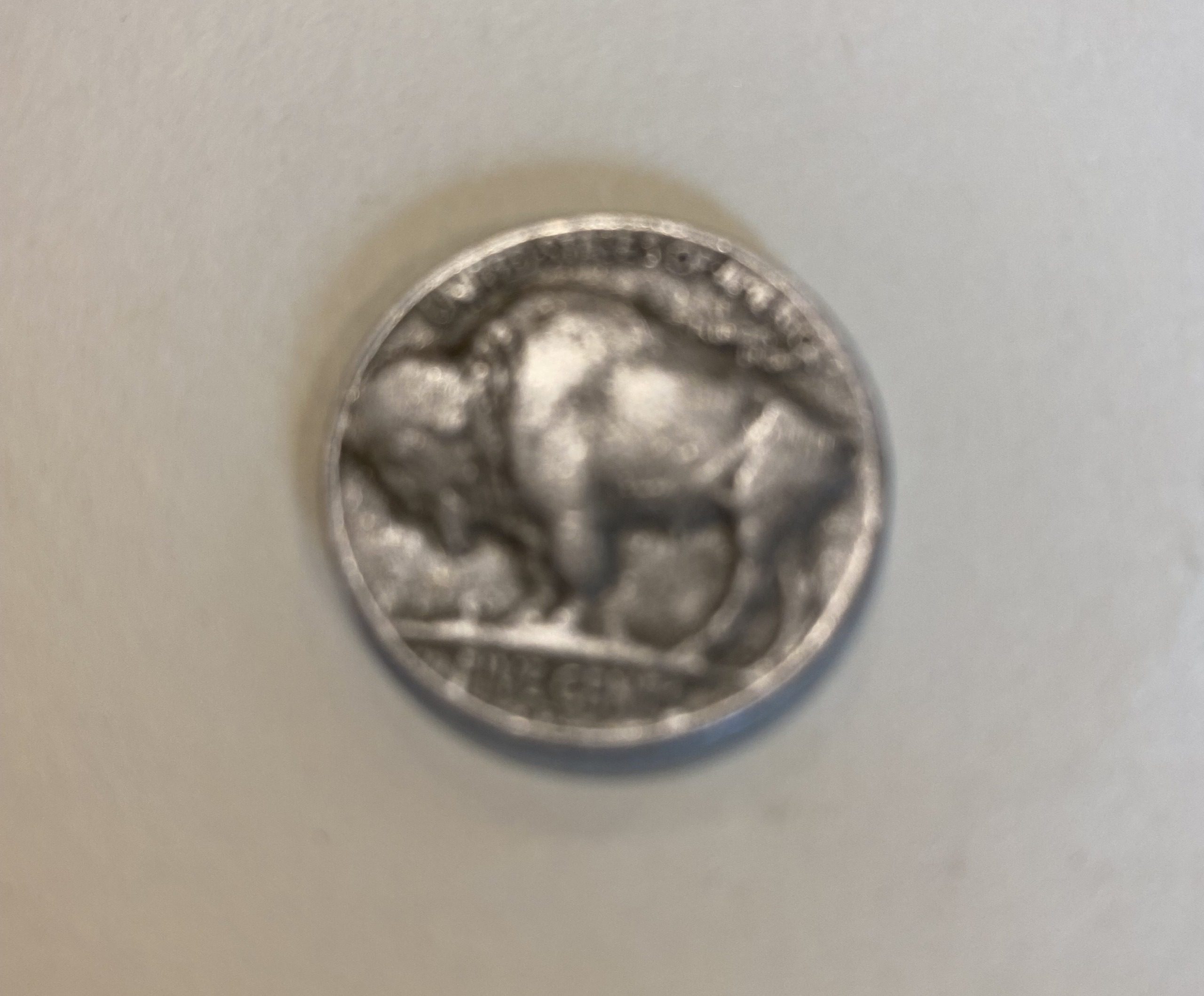 Gimme Five! A Volunteer’s Unexpected Discovery on the Grounds - Packard ...