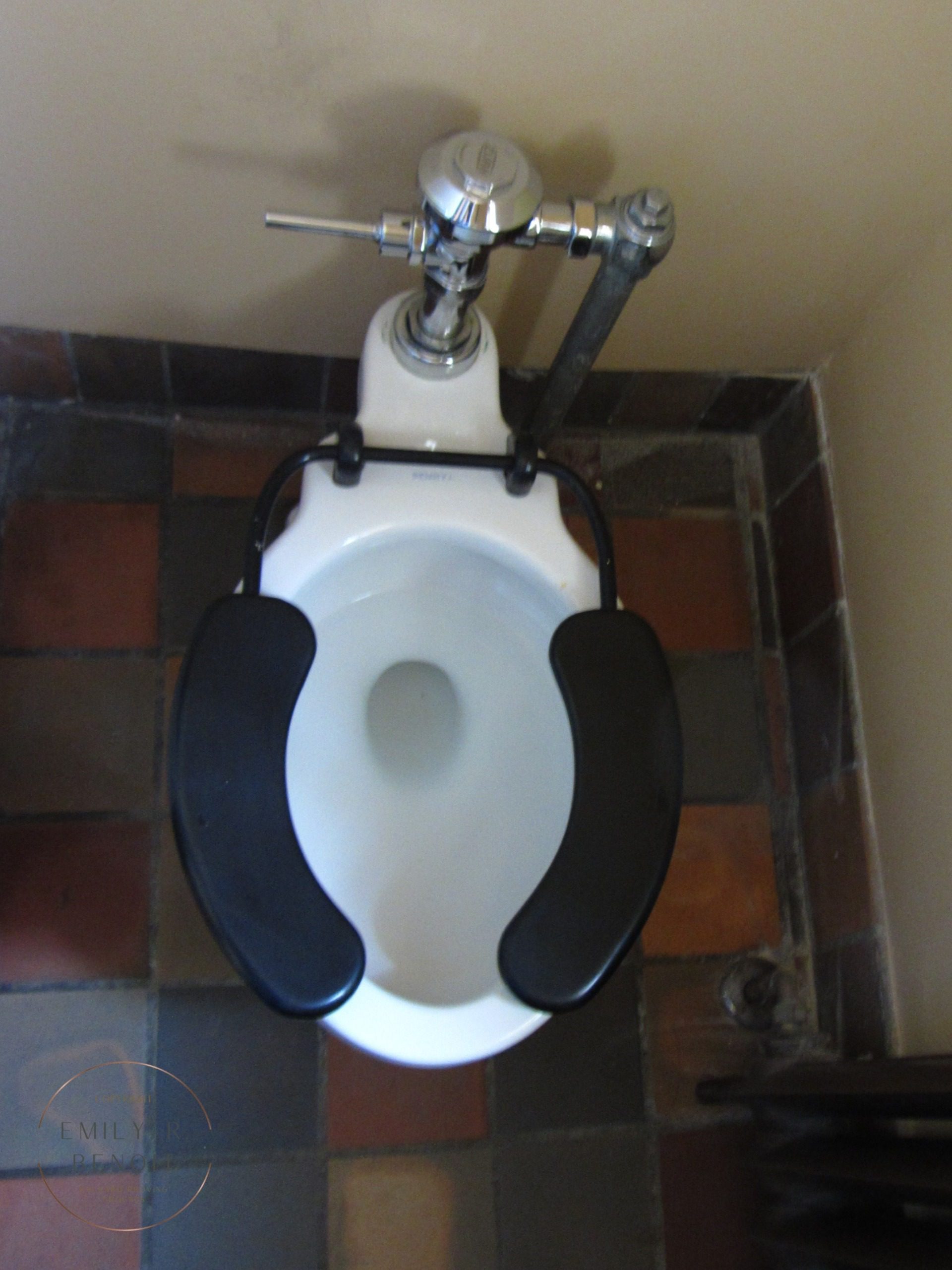 The Smallest Room in the House: Exploring 20th Century Bathrooms ...